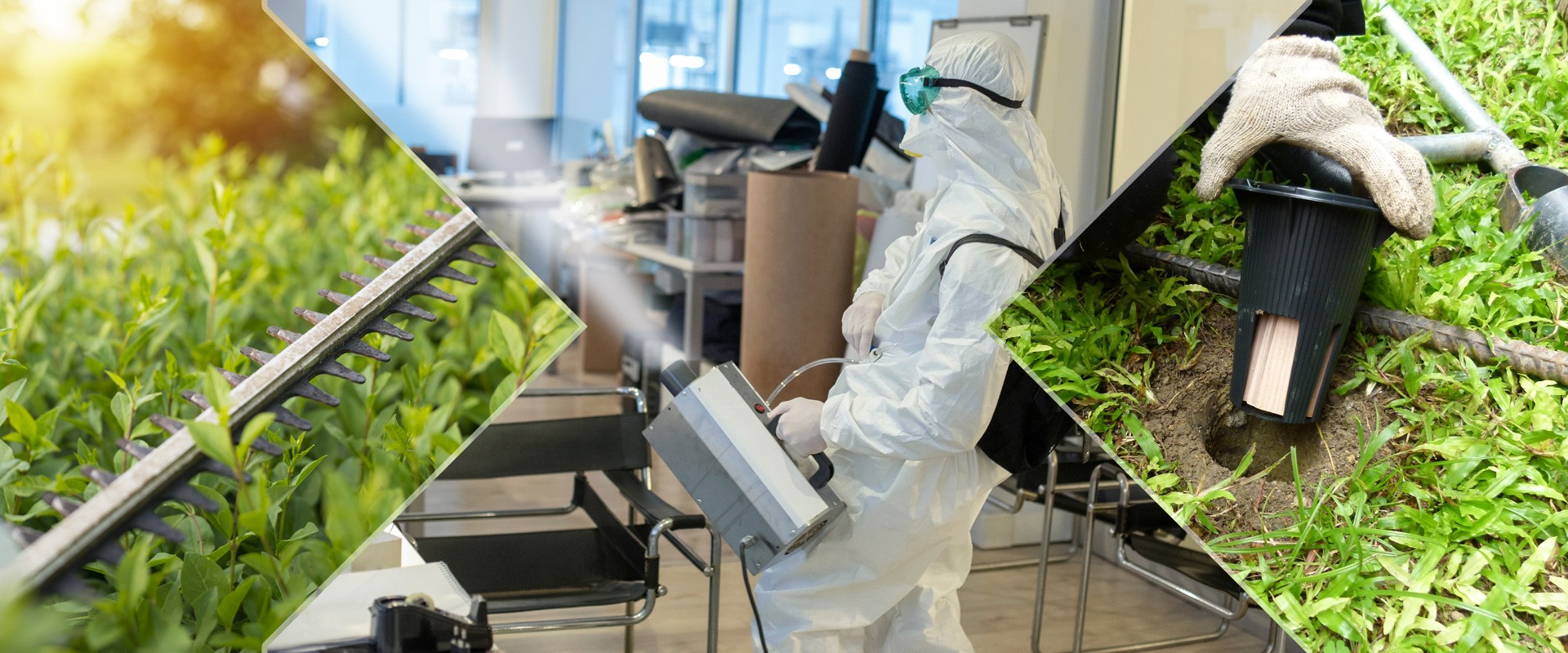 GreenandHealth.gr – Κατασκευή και Συντήρηση Κήπων – Έργα Πρασίνου ...