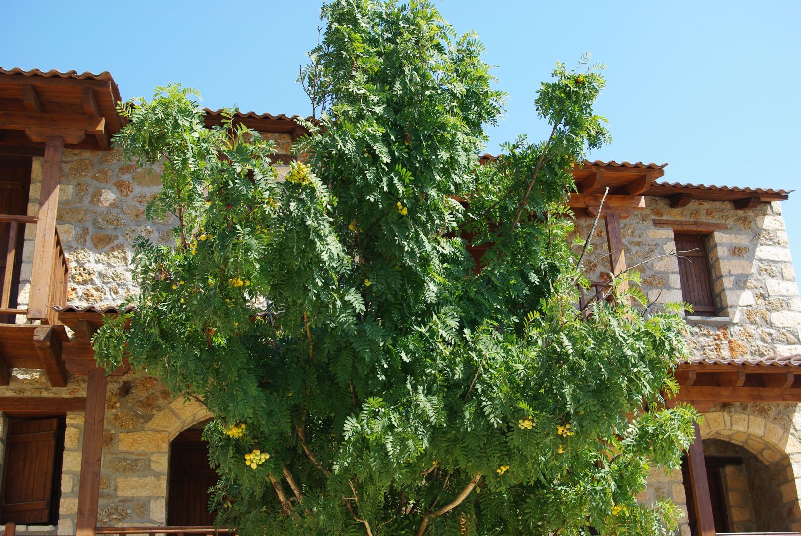 ΣΟΡΒΙΑ ΤΩΝ ΠΟΥΛΙΩΝ – GreenandHealth.gr
